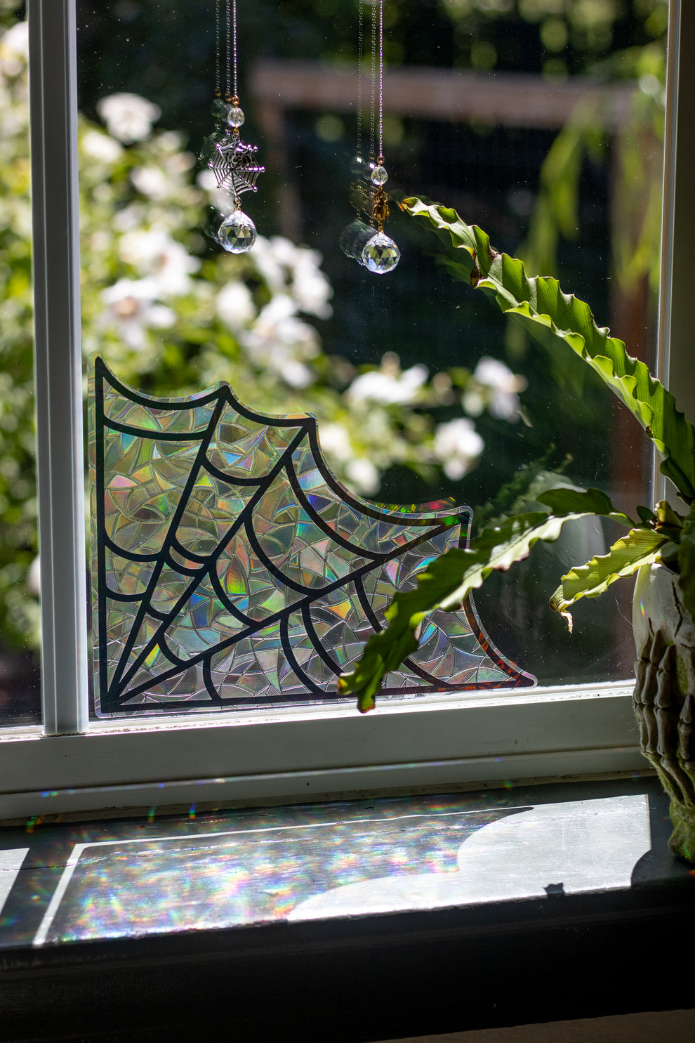 Spider Web Window Cling – Linebaugh Studios