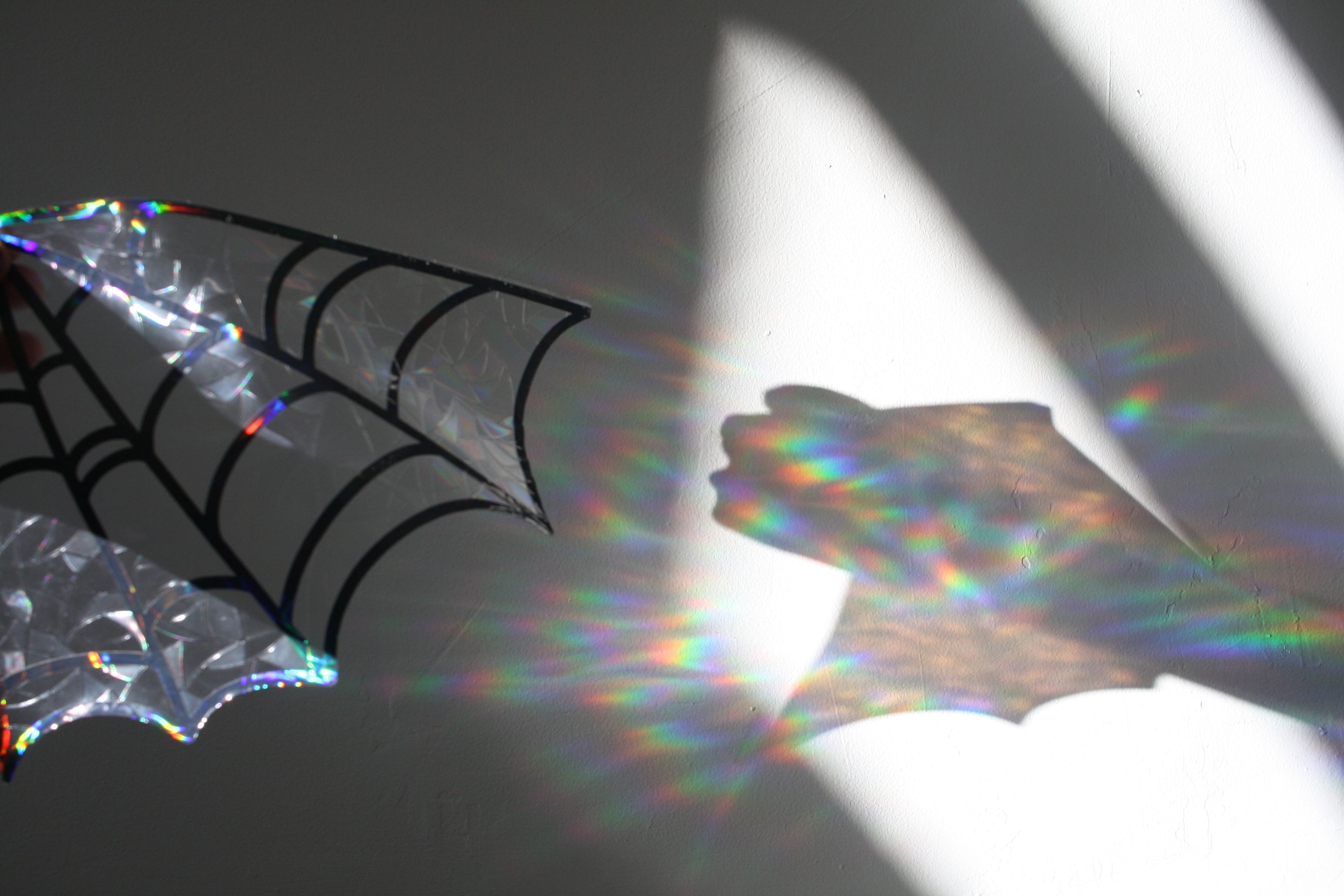 Spider Web Window Cling – Linebaugh Studios